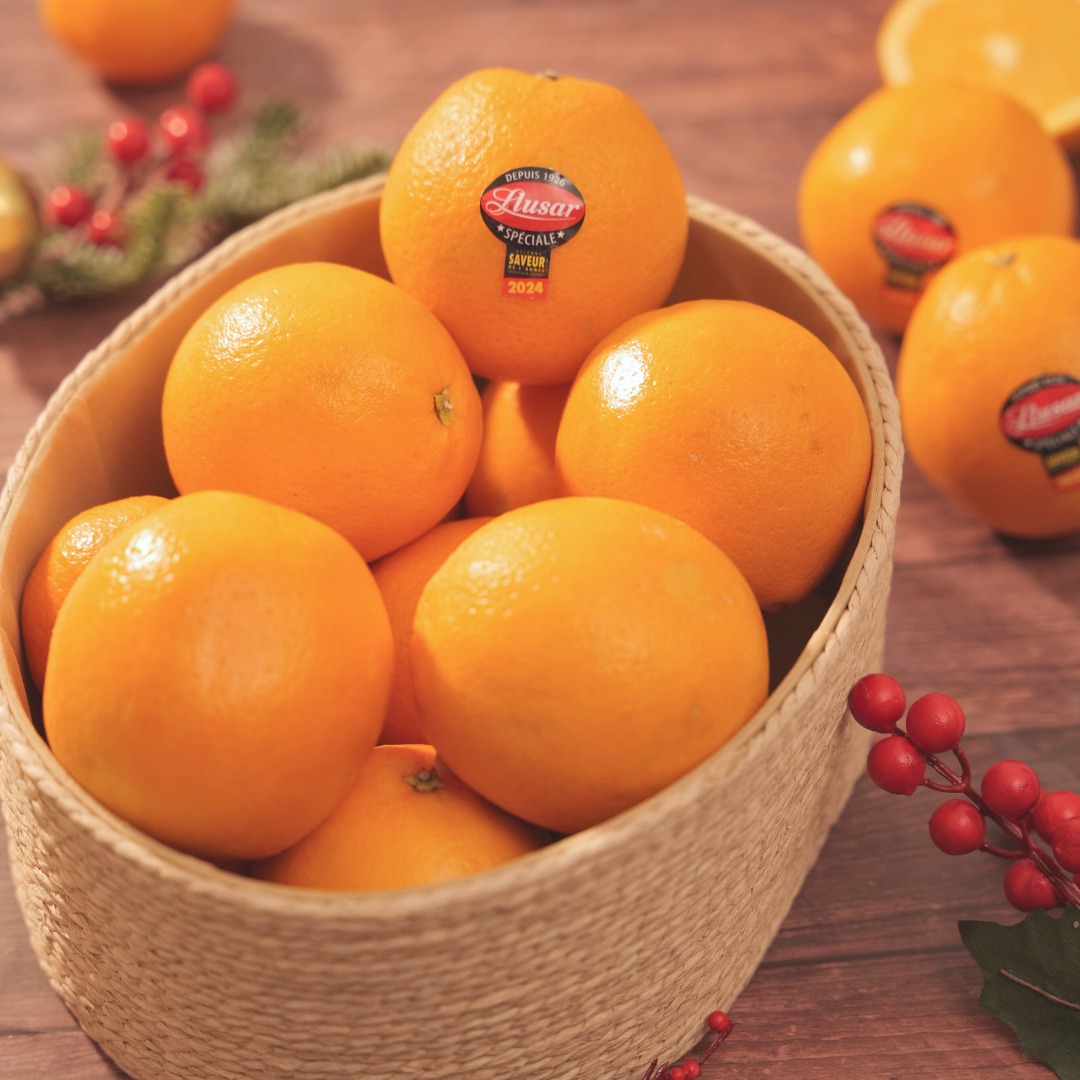 Llusar – Naranjas Llusar