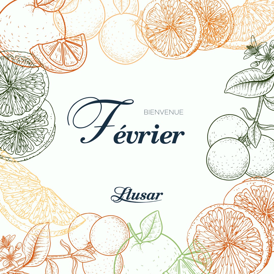 Llusar – Naranjas Llusar