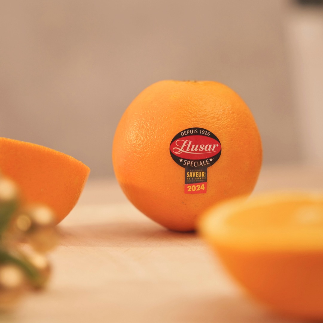 Llusar – Naranjas Llusar