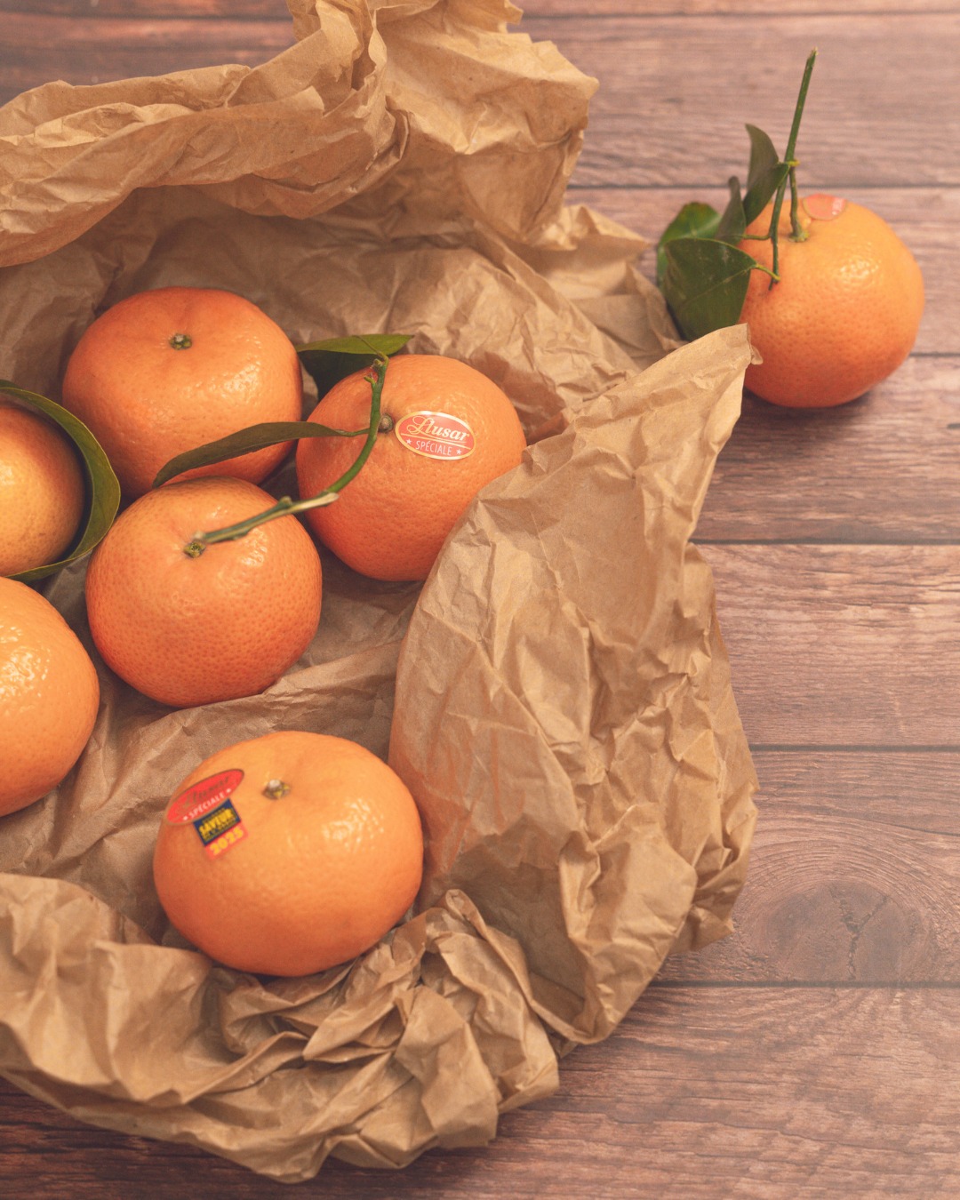 Llusar – Naranjas Llusar