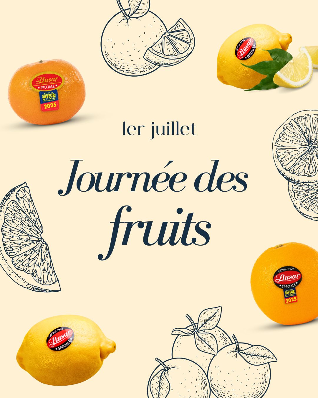 Llusar – Naranjas Llusar