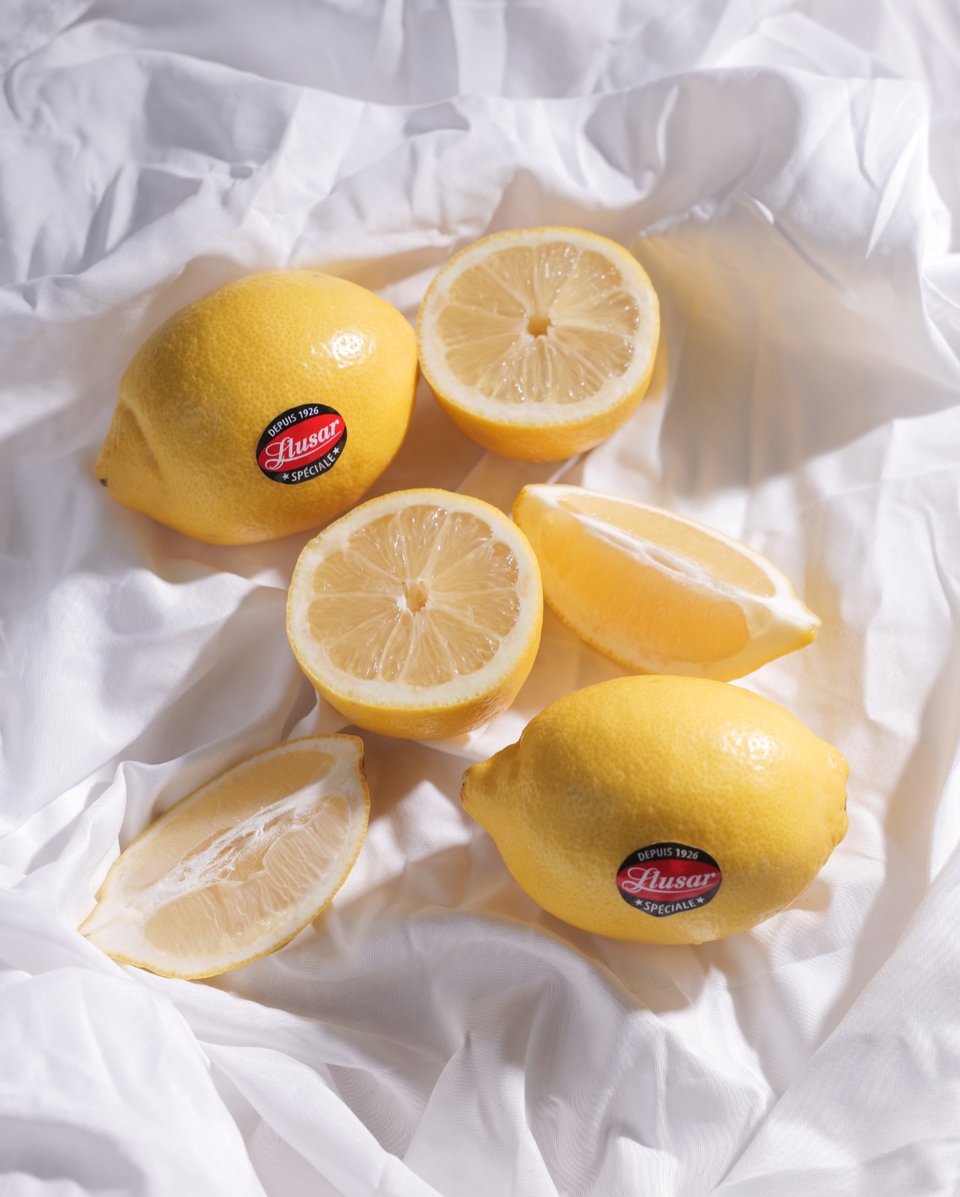 Llusar – Naranjas Llusar